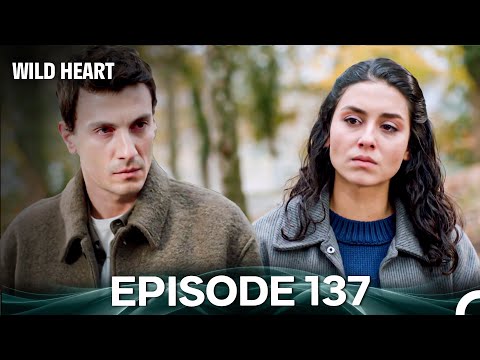 Wild Heart Episode 137