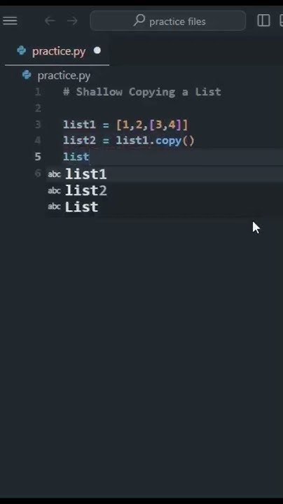 Shallow Copying A List Python Pythonprogramming Code Coding Learnpython