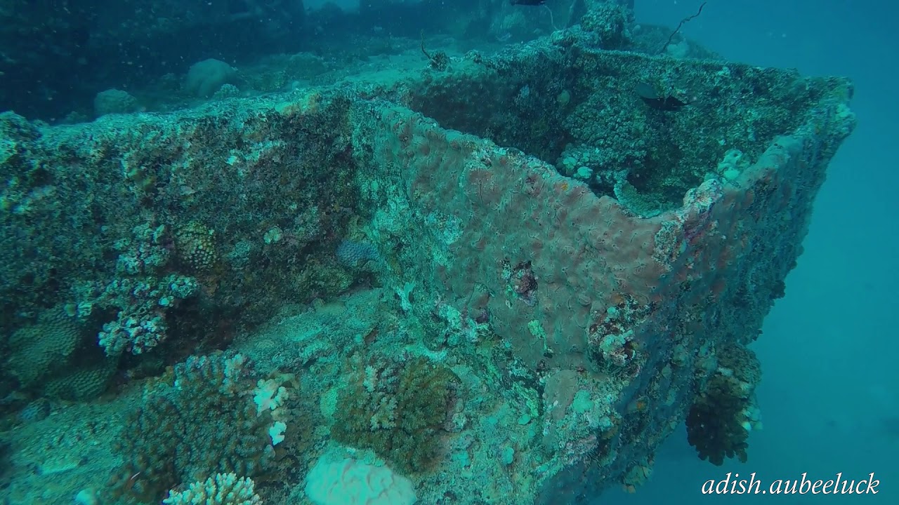 Scuba Diving Stella Maru Wreck in Trou Aux Biches,Mauritius - YouTube