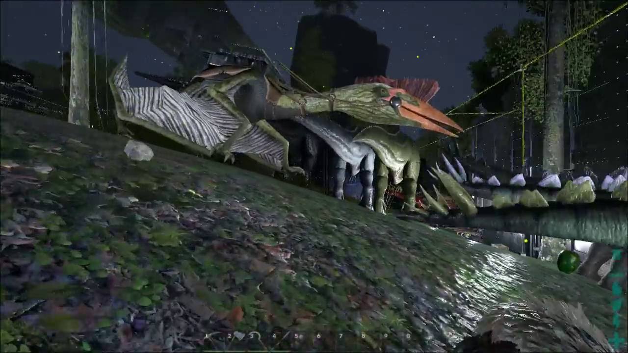 Patch 242 Quetzal / Giga Bug - Food draining when food in trough ...