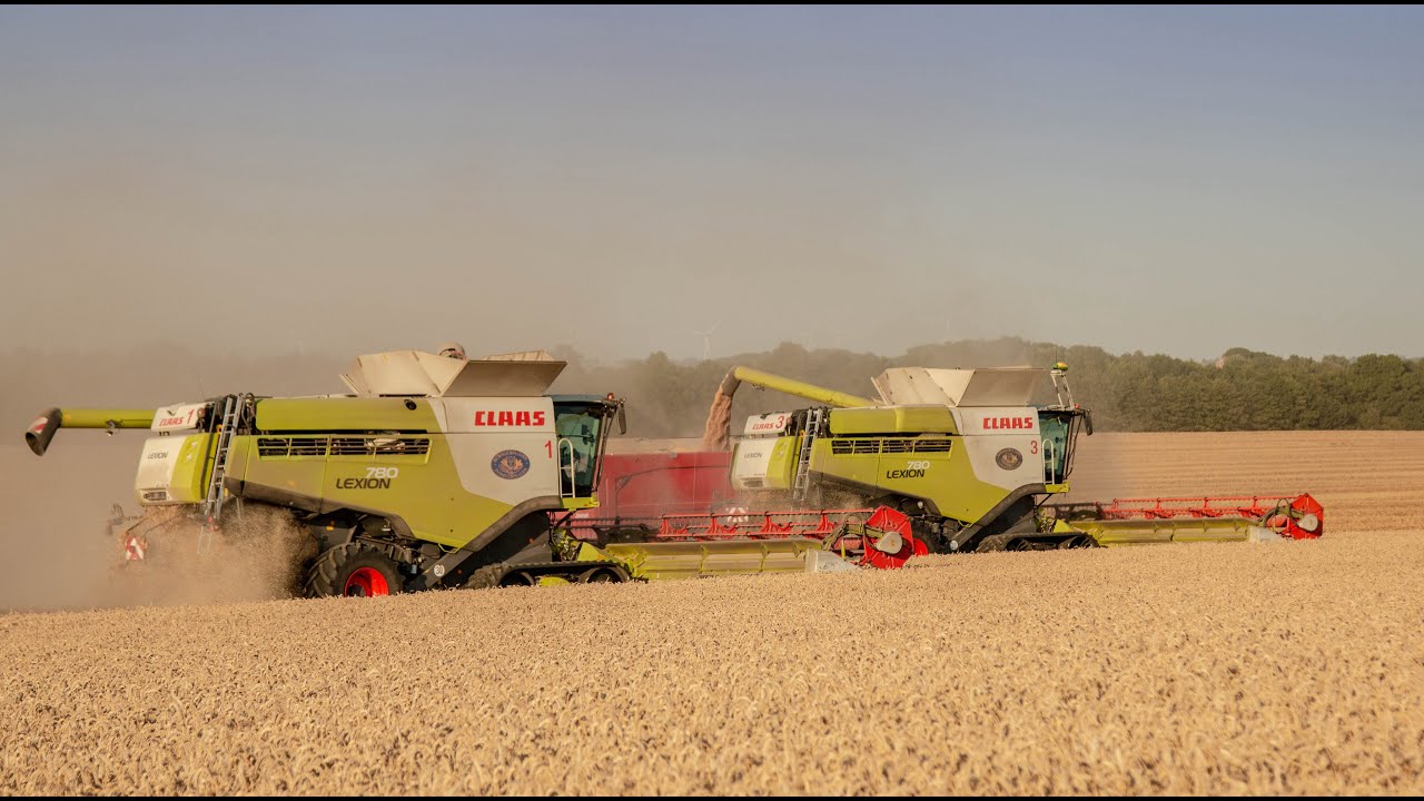 HARVEST IN SWEDEN / 3x Claas Lexion 780tt / Svenstorps Gods - YouTube