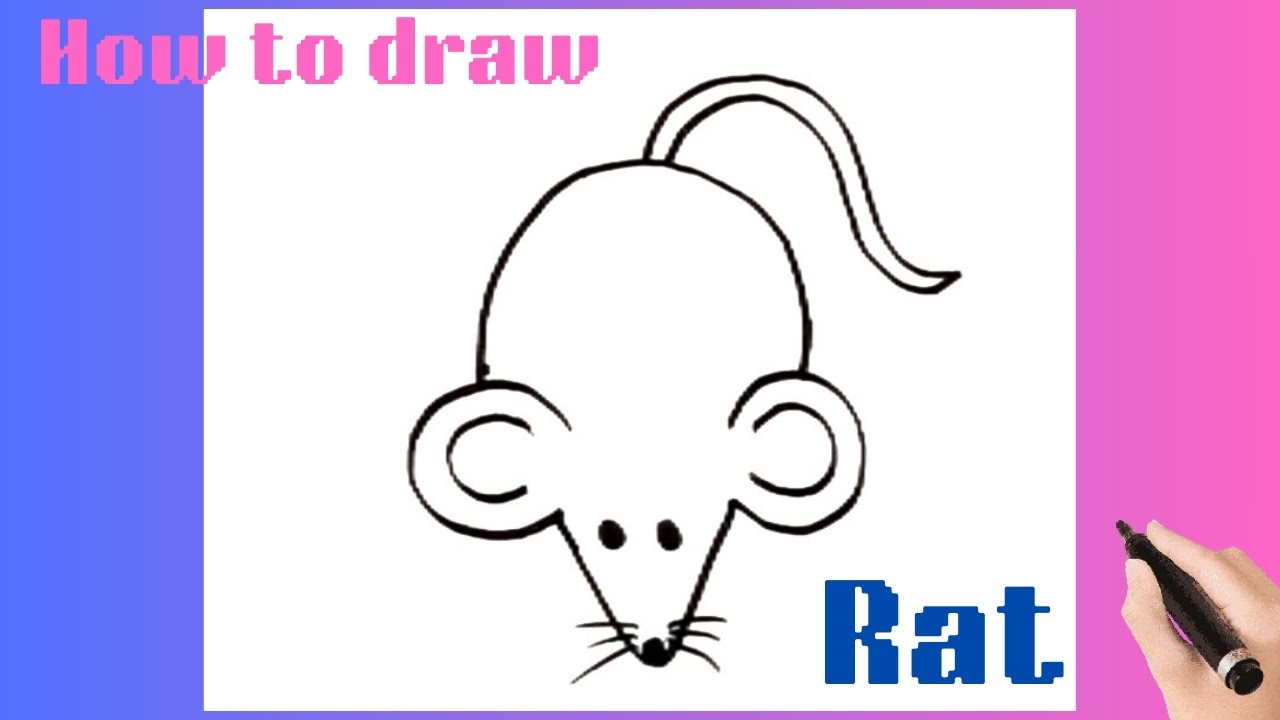 How to Draw easy Rat drawing || easy rat draw || - YouTube