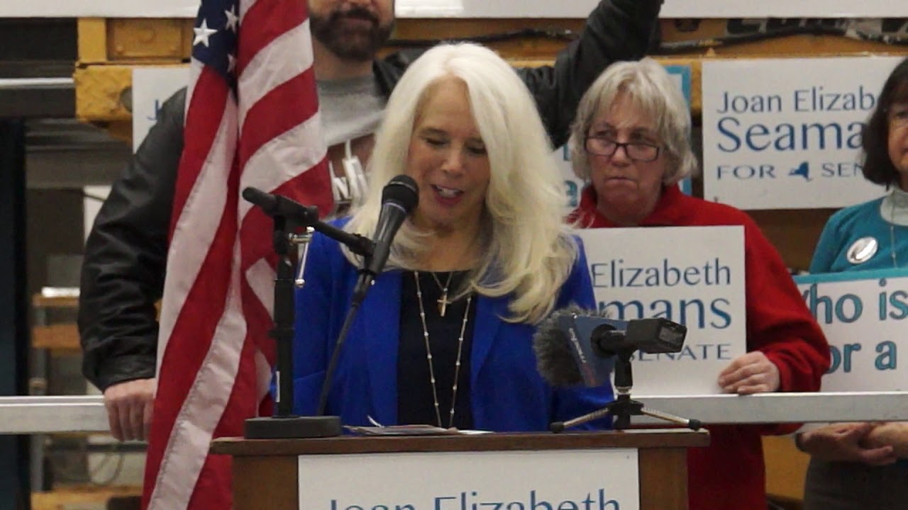 Joan Elizabeth Seamans Announces Candidacy for NY61 - YouTube