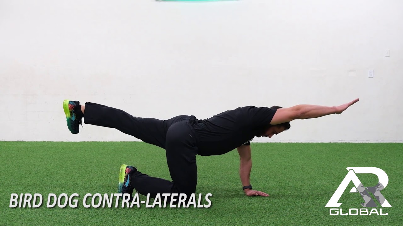 BIRD DOG CONTRA LATERALS - YouTube