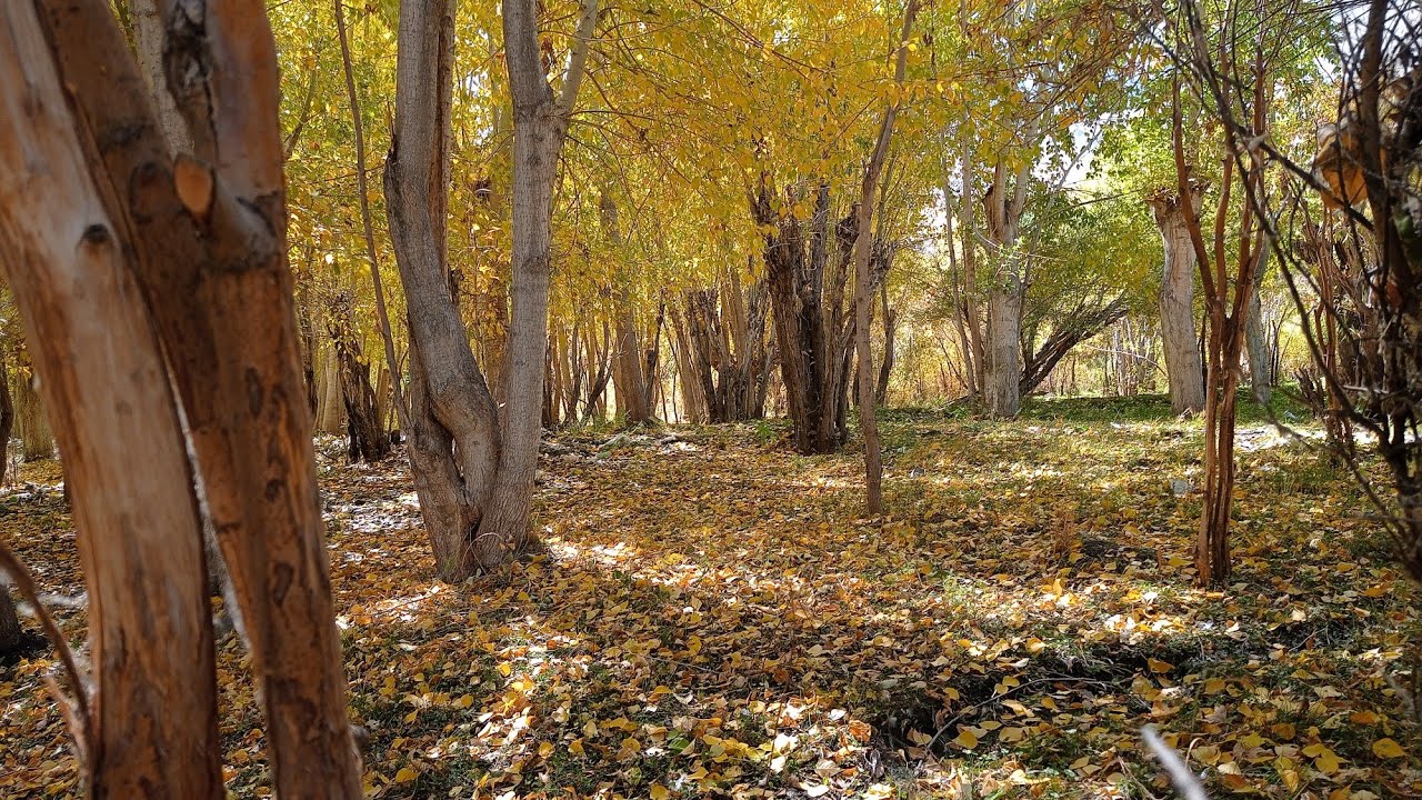 tujj party ..... - YouTube