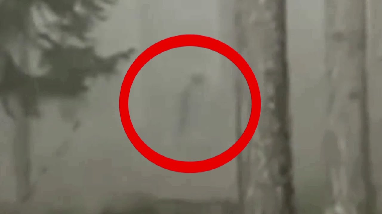 5 Foggy Monsters Caught on Camera - YouTube