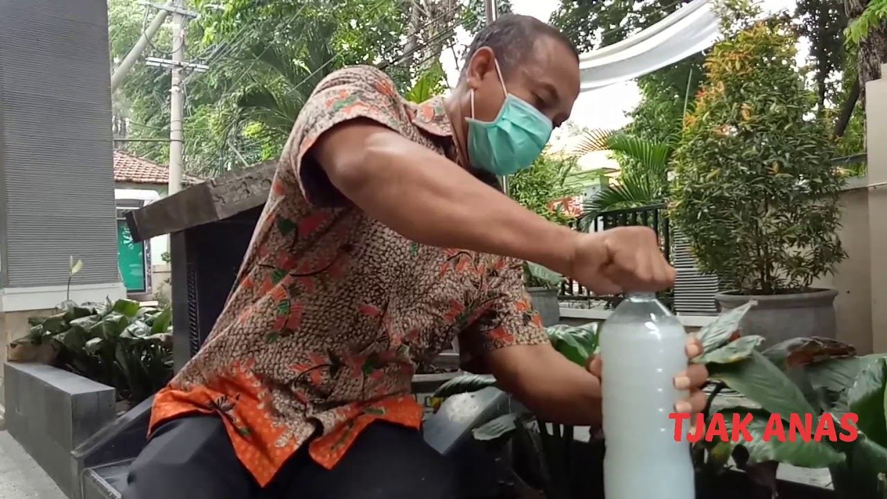 Awas Meledak! - Cara Membuka Tutup Botol Tuak Legen Yang Benar - YouTube
