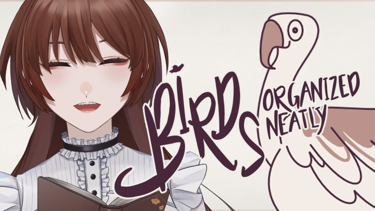 Birds Organized Neatly 】#01 鳥を居心地のいい箱にしまうよ // #たぬきのひととき #個人vtuber - YouTube