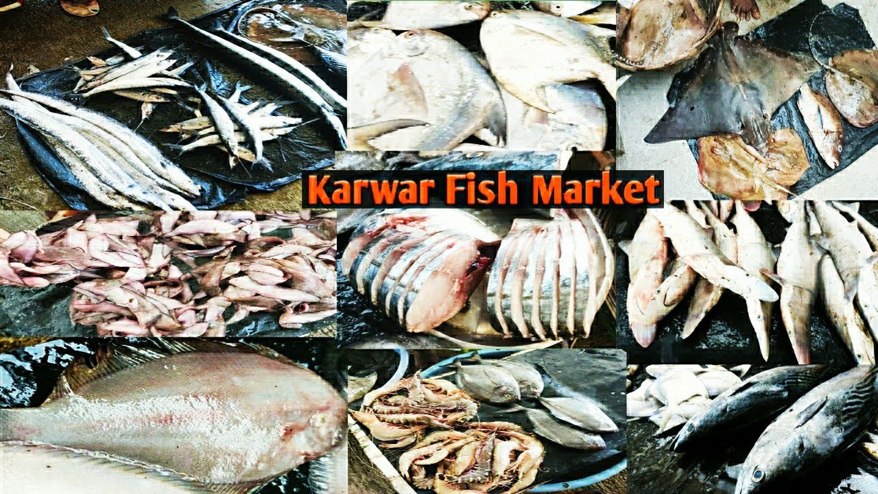 Karwar Fish Market Part-2 Vlog | Names of Various Fishes in Karwar Fish ...