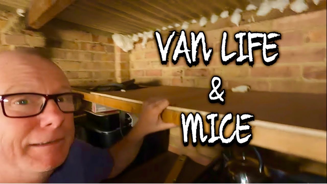 Van Life Advice and dealing with Mice. Waffle on Wednesday #vanlife - YouTube