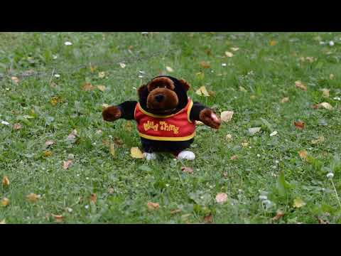 Karadenizli Maymun Horon Tepiyor :)