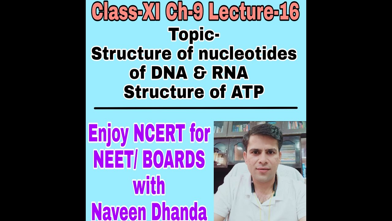 Class -XI Ch-9 Lecture-16 Topic- Structure of nucleotides of DNA & RNA ...
