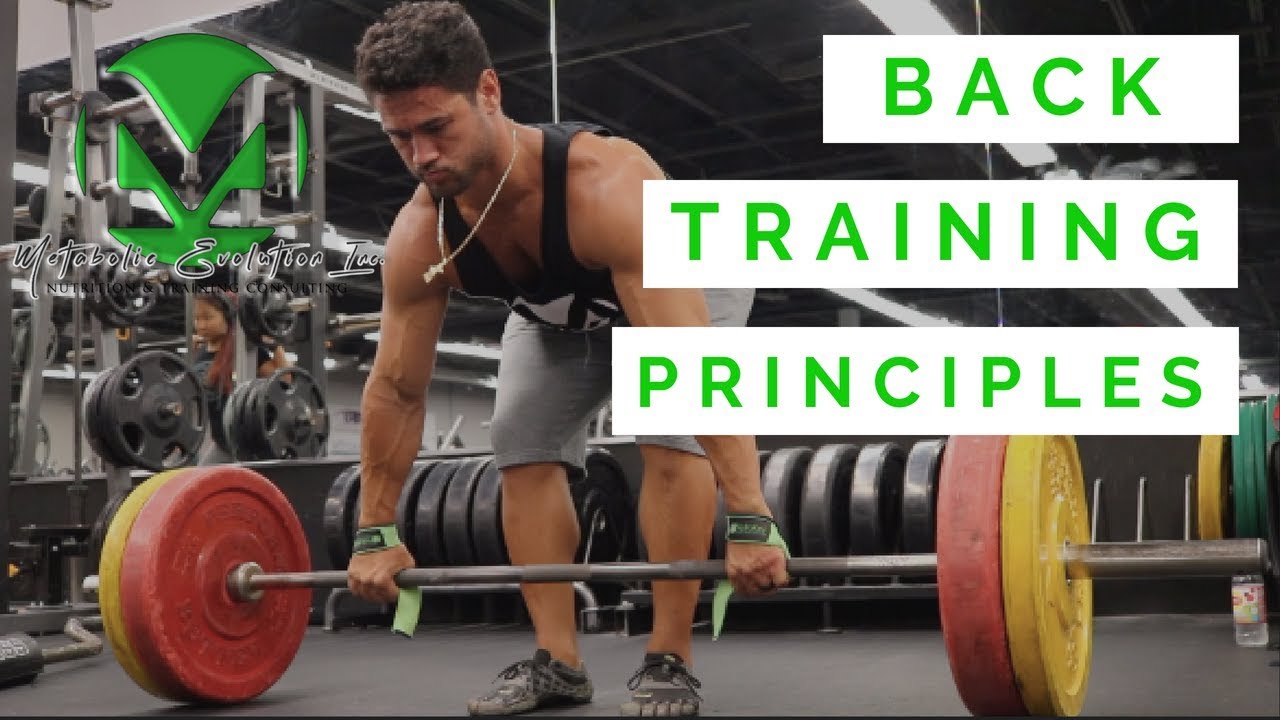 BACK TRAINING PRINCIPLES - YouTube