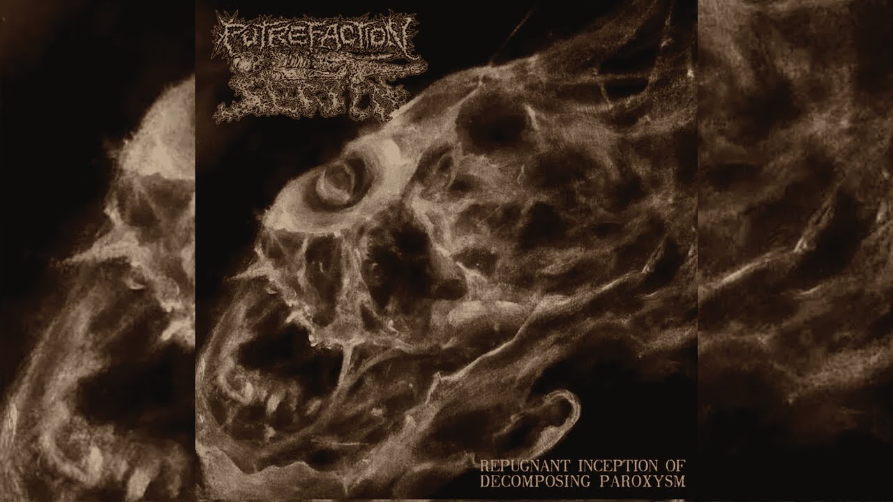 PUTREFACTION SETS IN - To Soften by soaking Mush Collapse (single 2022 ) #9 - YouTube