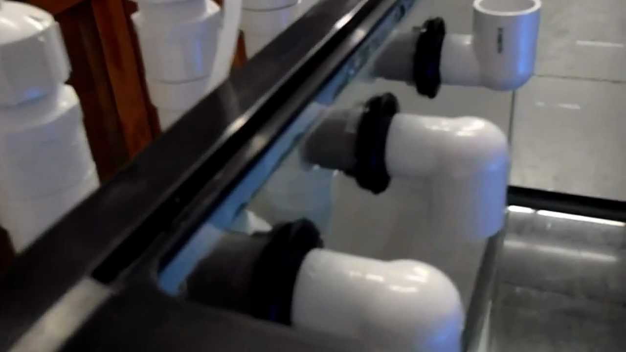 Bean Animal Overflow - YouTube