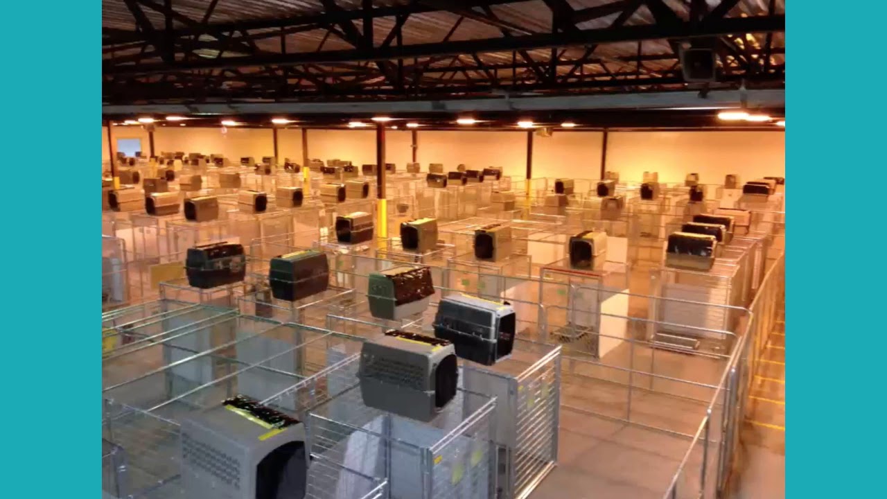 Innovations in Emergency Animal Sheltering - conference recording - YouTube