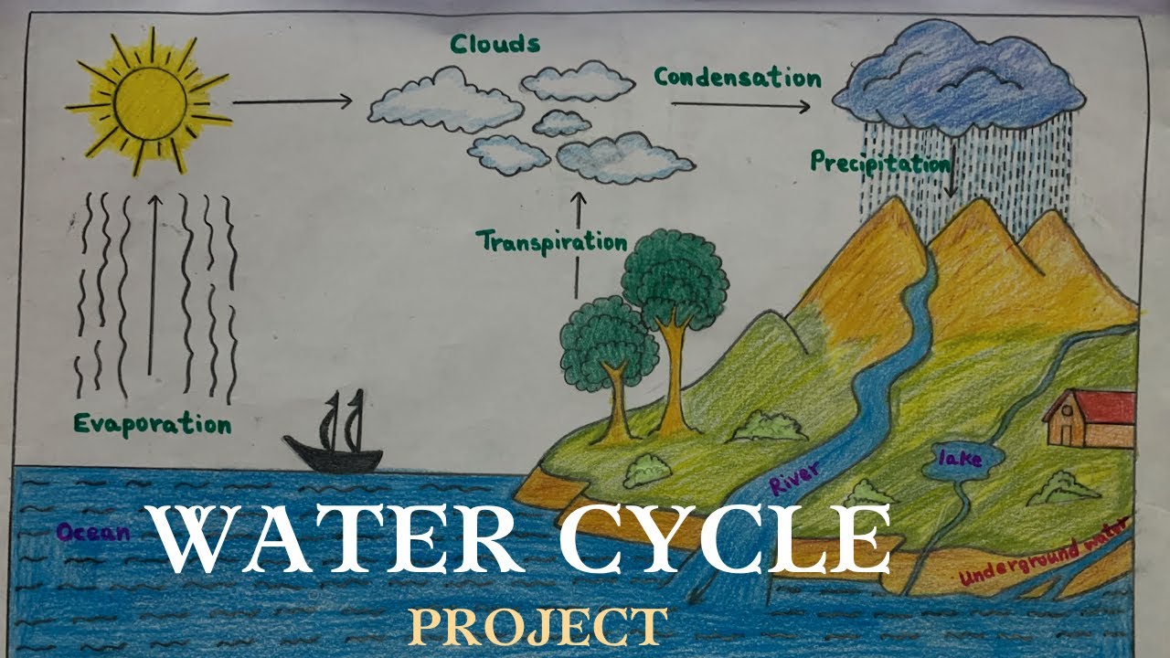 Water Cycle Project || Easy Water Cycle Drawing || Water Cycle ...