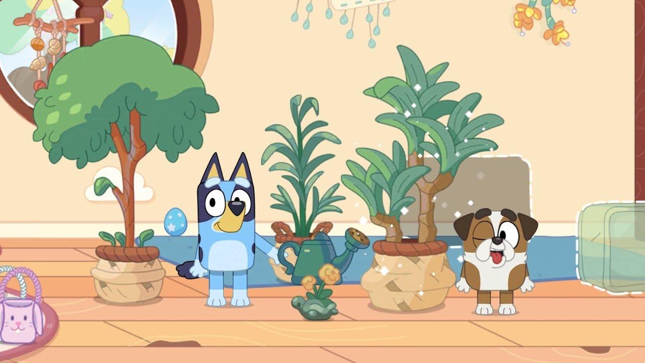 Bluey: indoor plants in classroom 07