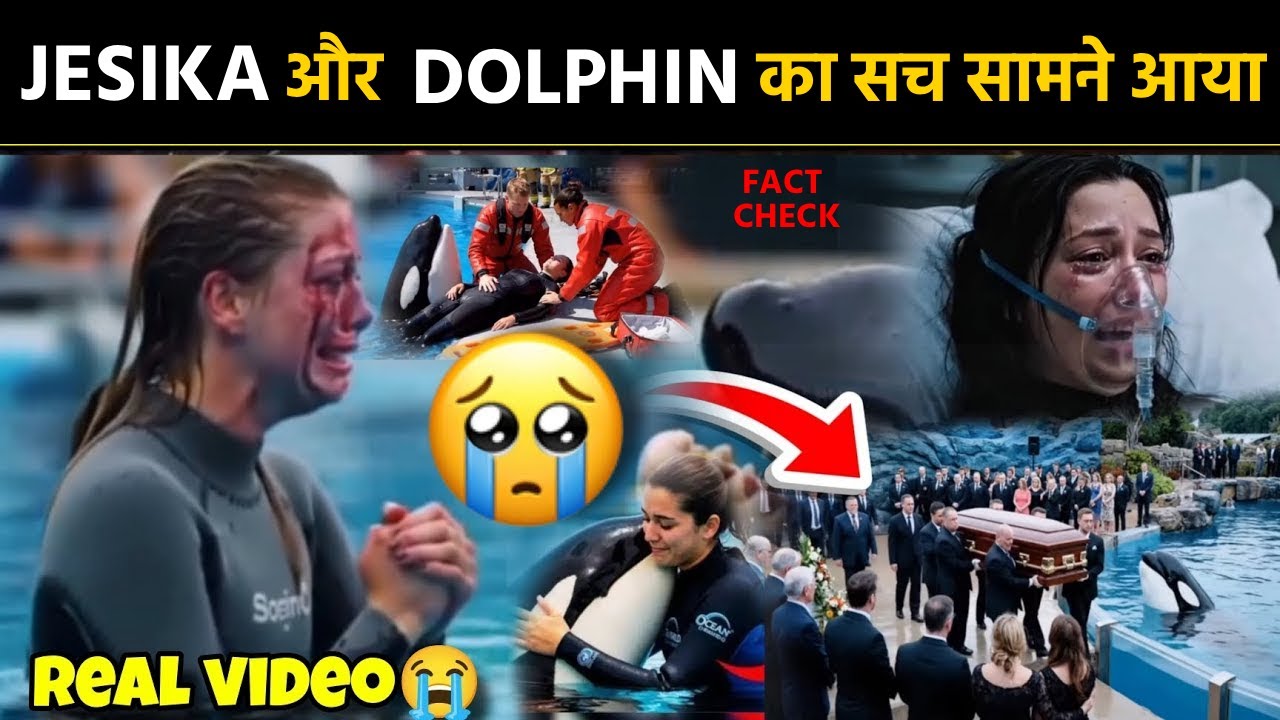 जेसिका और डॉल्फिन का सच सामने आया | REAL VIDEO OF JESIKA ? | FACK CHECK ...