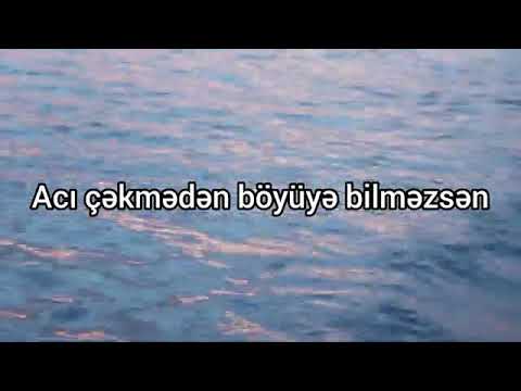 Whatsapp ve Instagram ucun maraqlı statuslar   Qısa videolar  MENALI SÖZLER  Status üçün videolar360