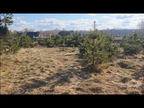 Ўзбекбоб Уй, Участка 130 соток, Молхоналар, Гараж, Хаммом, Москва - Рига трасса, Кўл