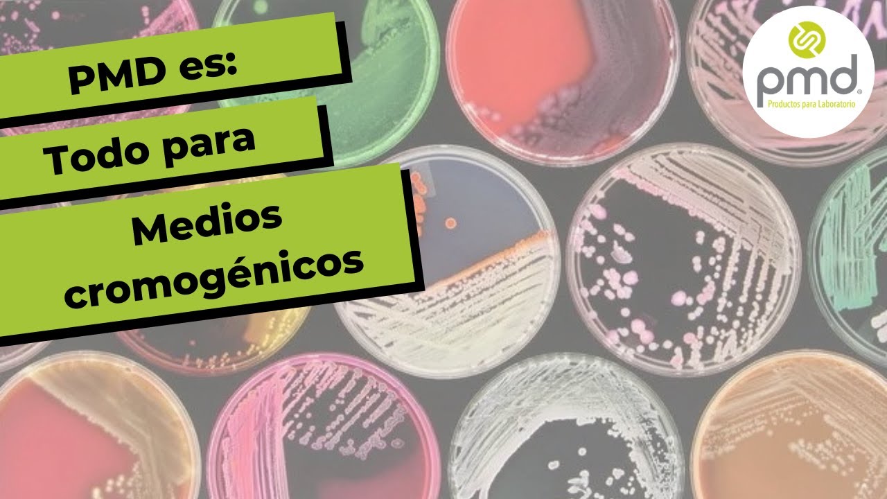 Medios de cultivo cromogénicos - YouTube