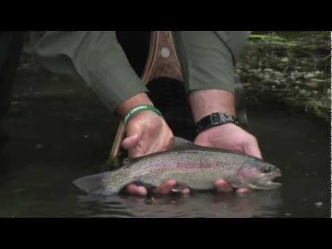 French Nymphing - YouTube