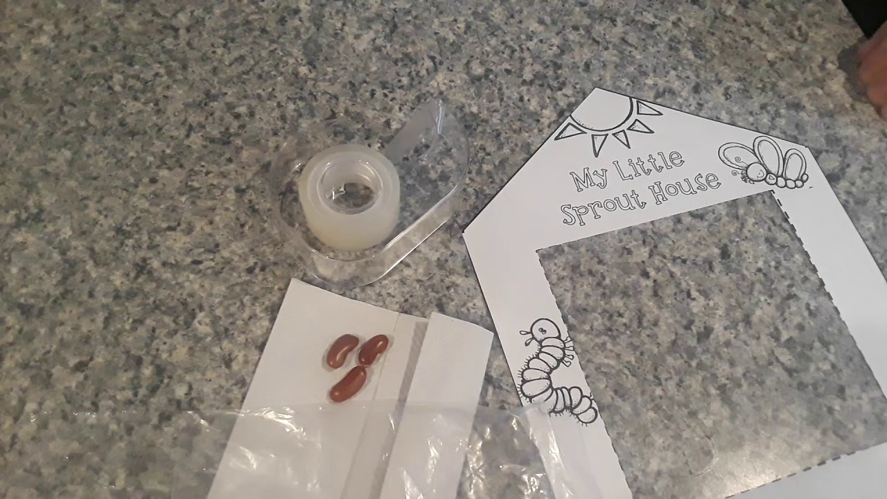 Sprout House Activity - YouTube