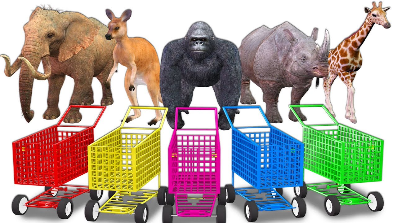 Learn 123 Numbers With Wild Animals Shopping Cart for Kids - Learn ...