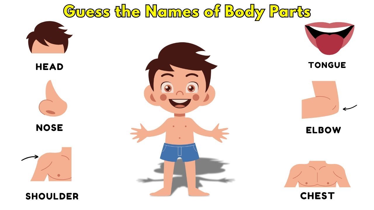 Guess the Body Part – Fun Learning Game for Kids! - YouTube