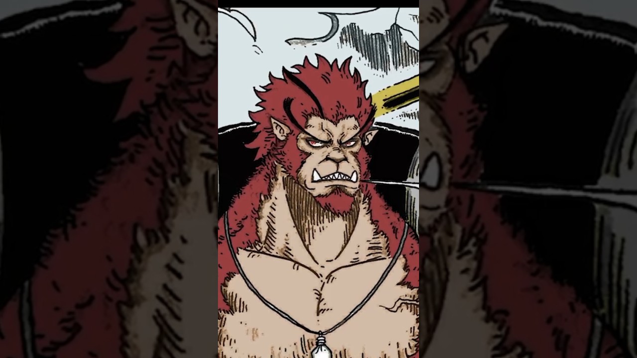 Kong is Still Strong Enough in One Piece #onepiece #anime - YouTube