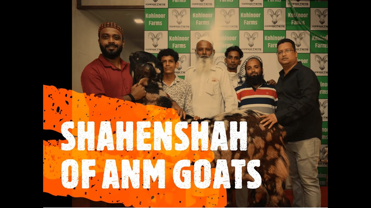 MLA - Mahadev Babar Sahab I Views on Shahenshah I Biggest Goat of all ...
