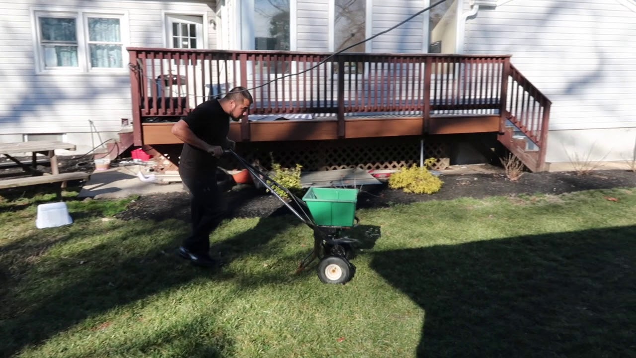 como mantener tu pasto verde - YouTube