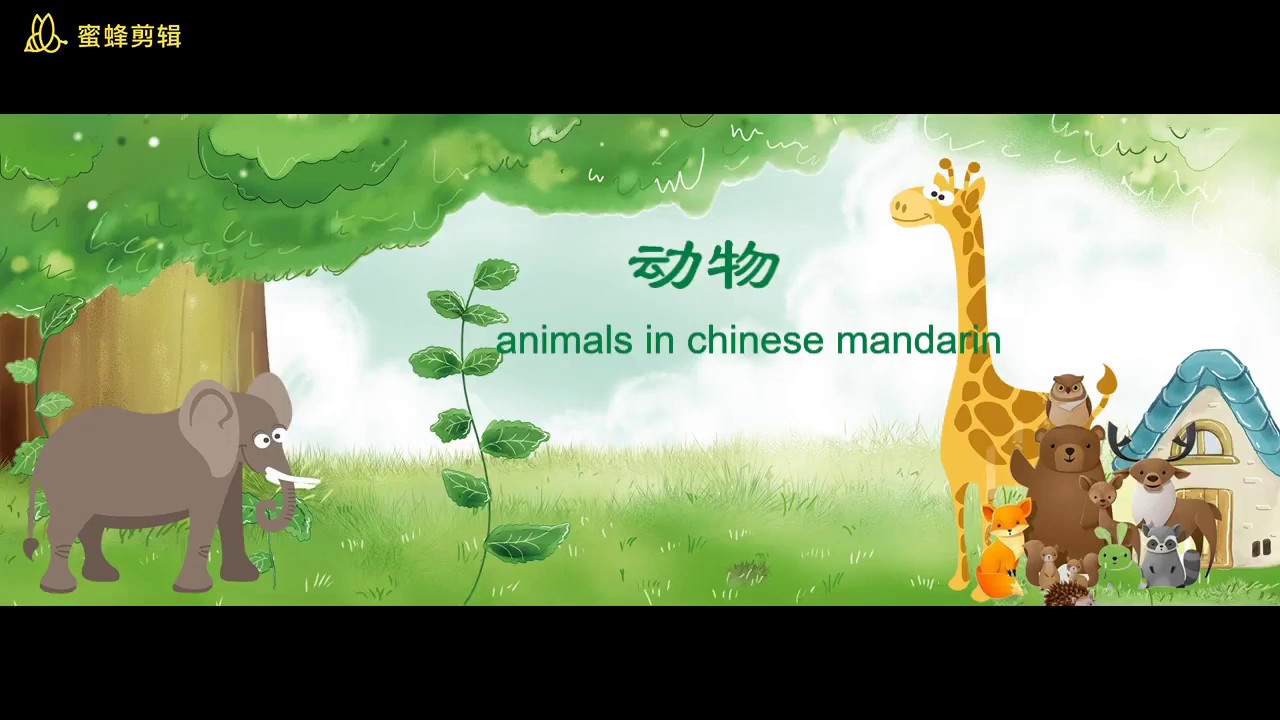 中文动物 普通话 learn animals in chinese mandarin - YouTube