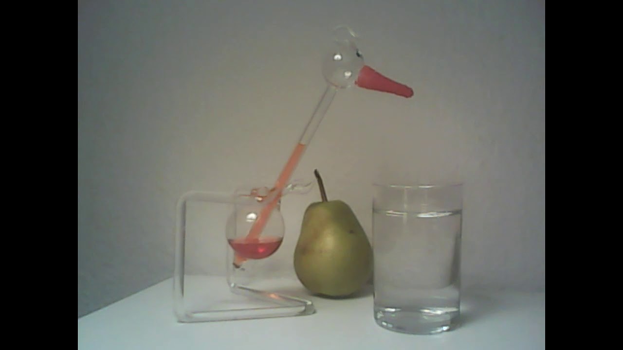 Very happy drinking bird!!! Rare footage - YouTube