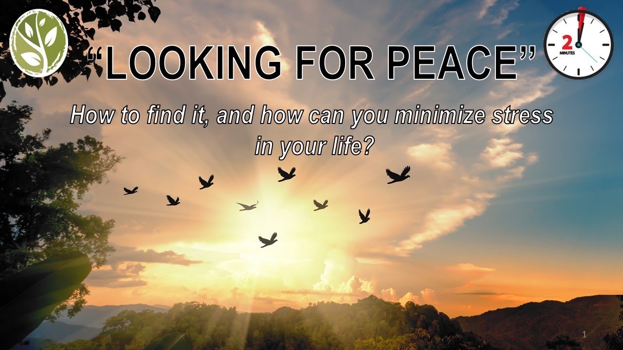 **Looking For Peace** | New Hope Olympia -| Sermons - YouTube