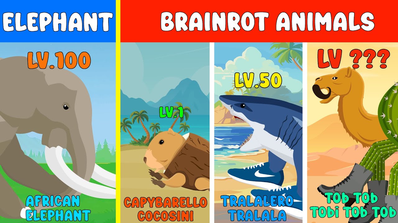 Elephant vs Brainrot Animals Level Challenge [S1] | Animal Animation ...