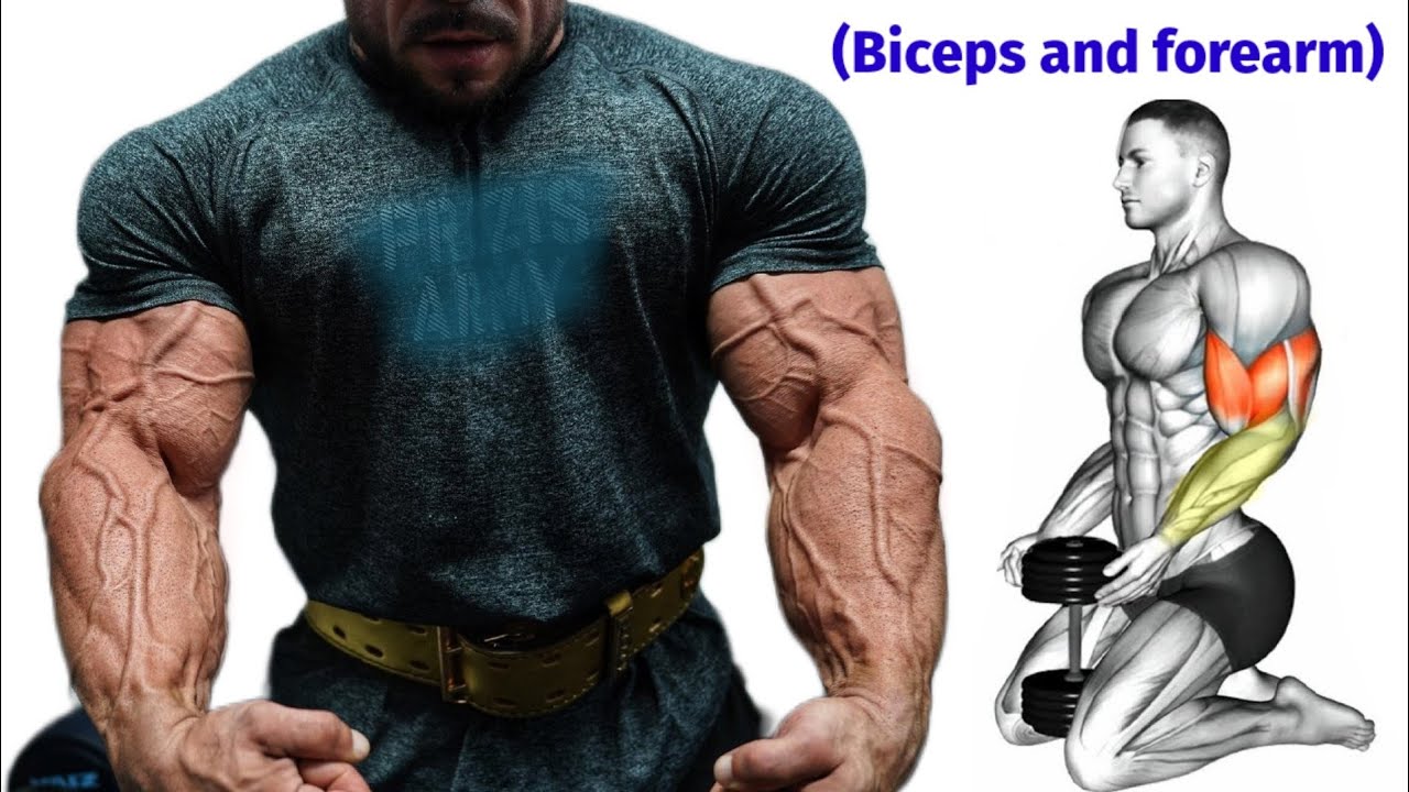 how to get big forearms and biceps workout for increase biceps and ...