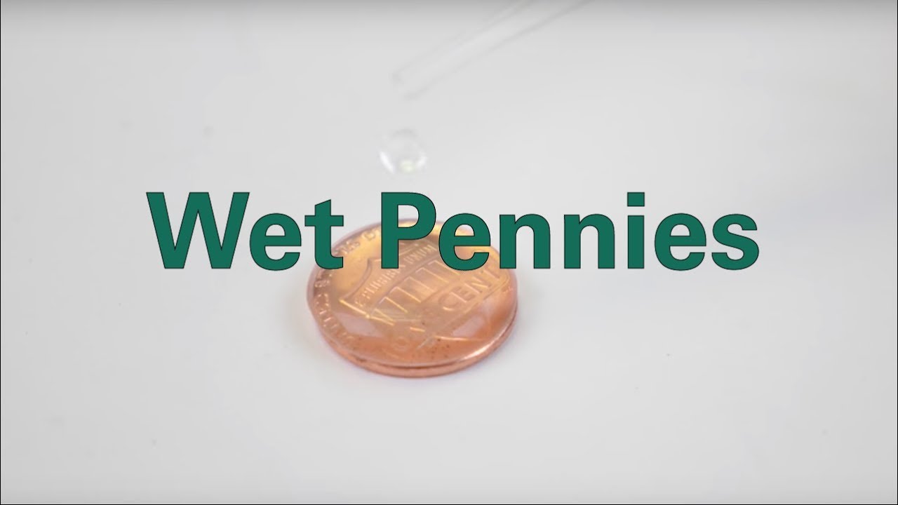 Surface Tension Penny Experiment
