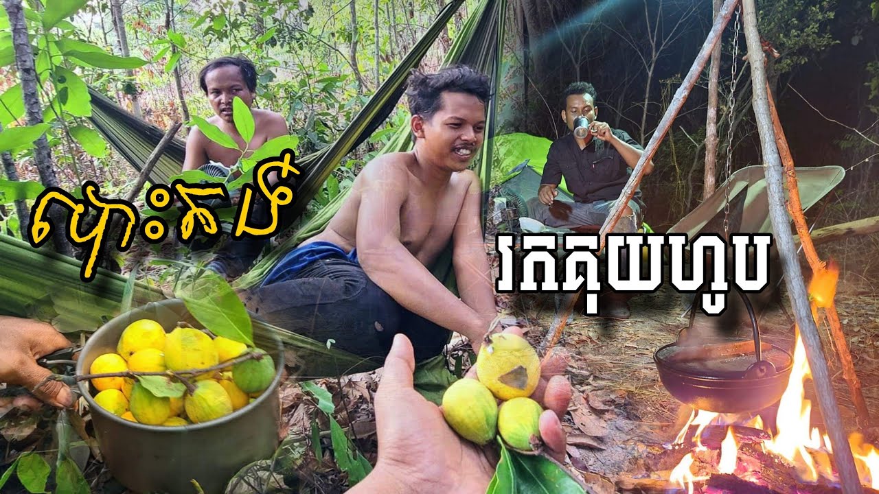 បោះតង់,រកផ្លែគុយនៅរដូវក្តៅខ្លាំង ព្រៃឡង់/CAMPING AND FIND KUY FRUIT IN ...
