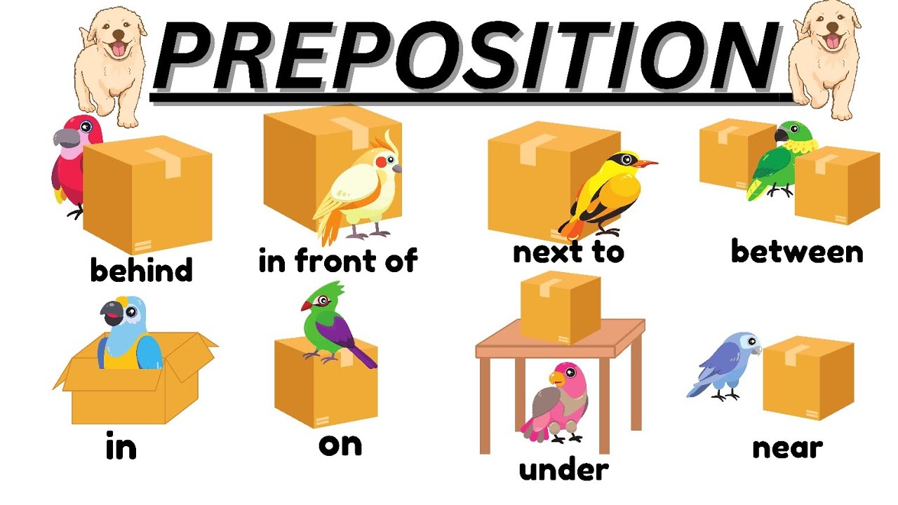 "Fun Prepositions of Place for Kids: Learn with Animated Adventures ...