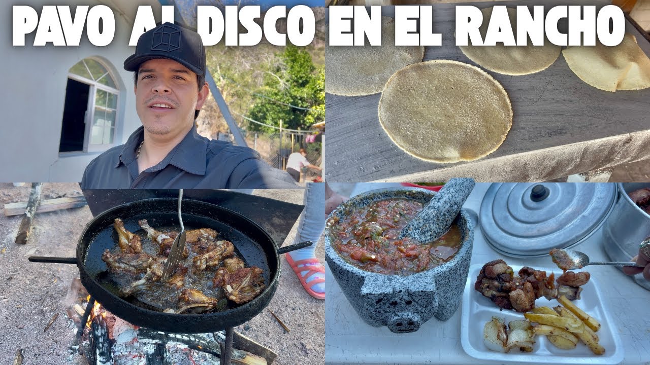 Pavo al disco en el RANCHO DEL PILOTO - YouTube