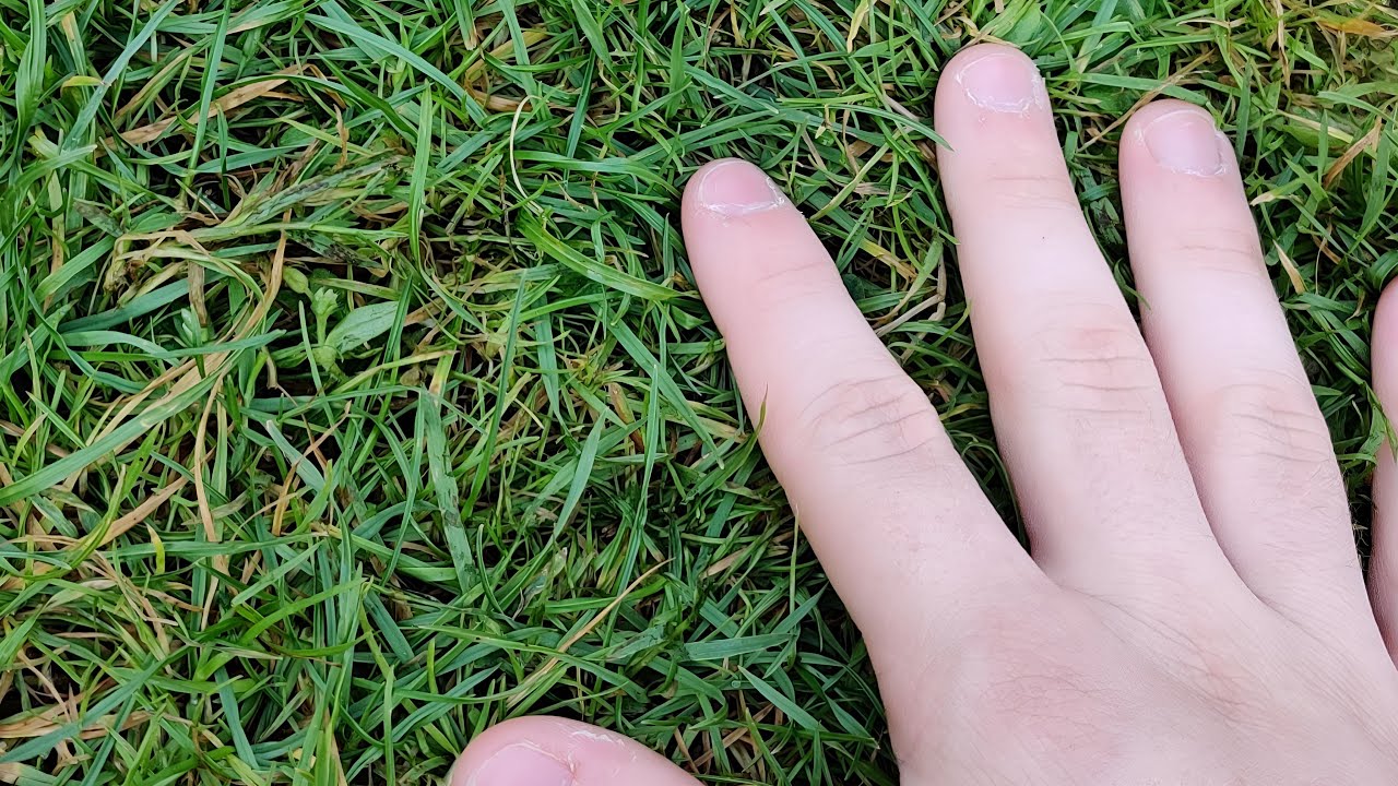 "Go Touch Grass.." - YouTube