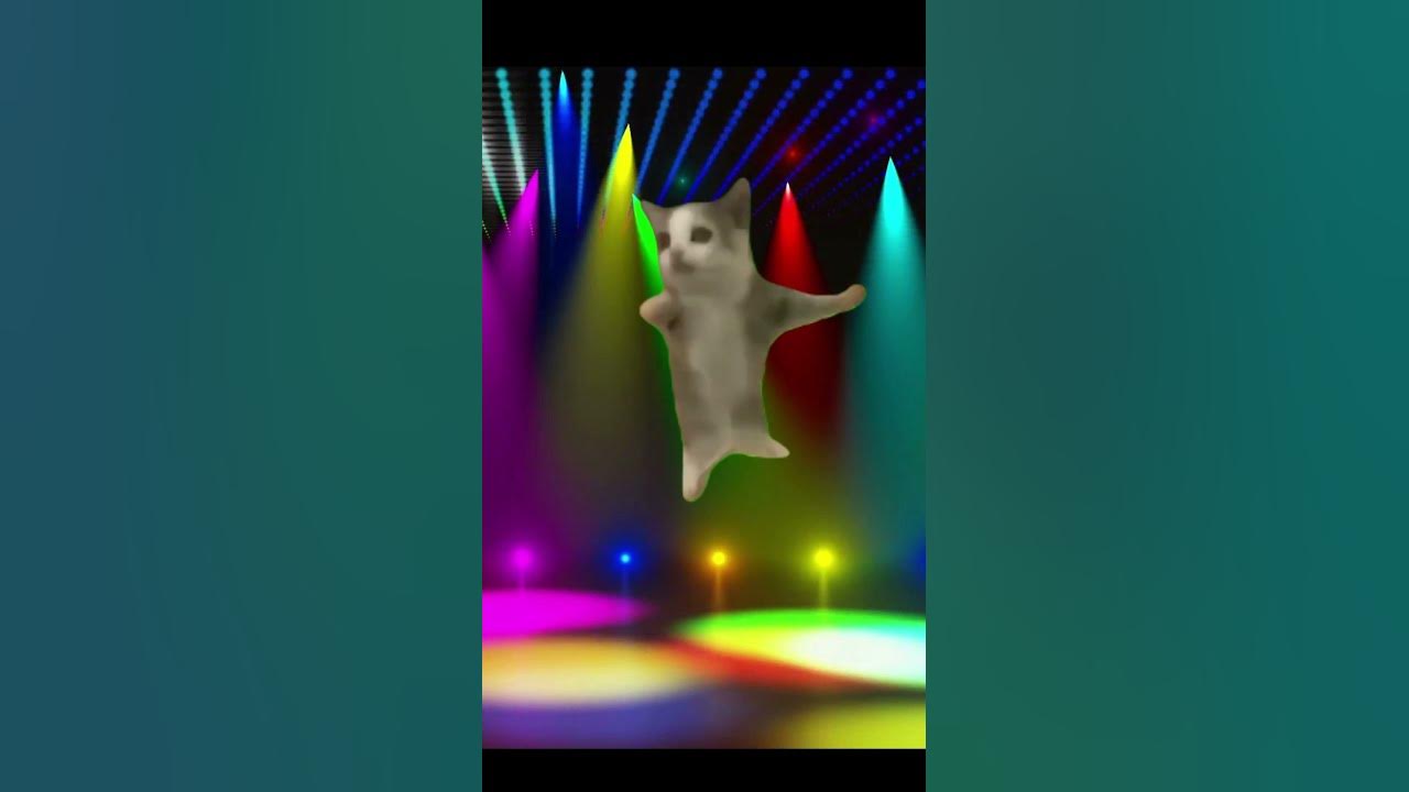 хапи хапи тут тут - YouTube