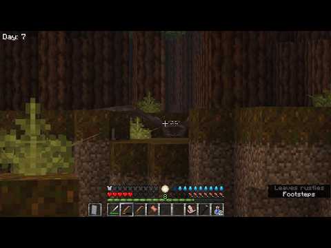 Back into the Forest