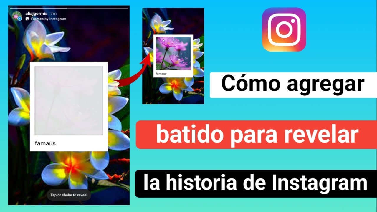 Agregue batido para revelar la historia de Instagram (nuevo 2024 ...