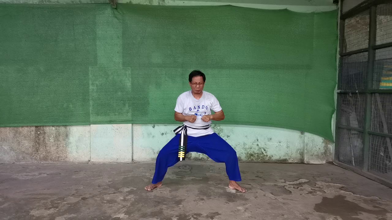 Bando Level-4(Green Stripe-Yellow Belt) Drill-01(Bando Multi-Defense ...