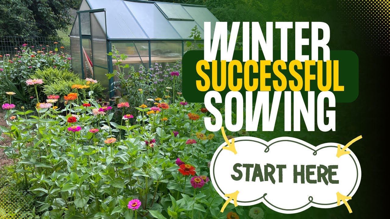 Winter Sowing Kickoff: Everything You Need to Know to Get Started ...