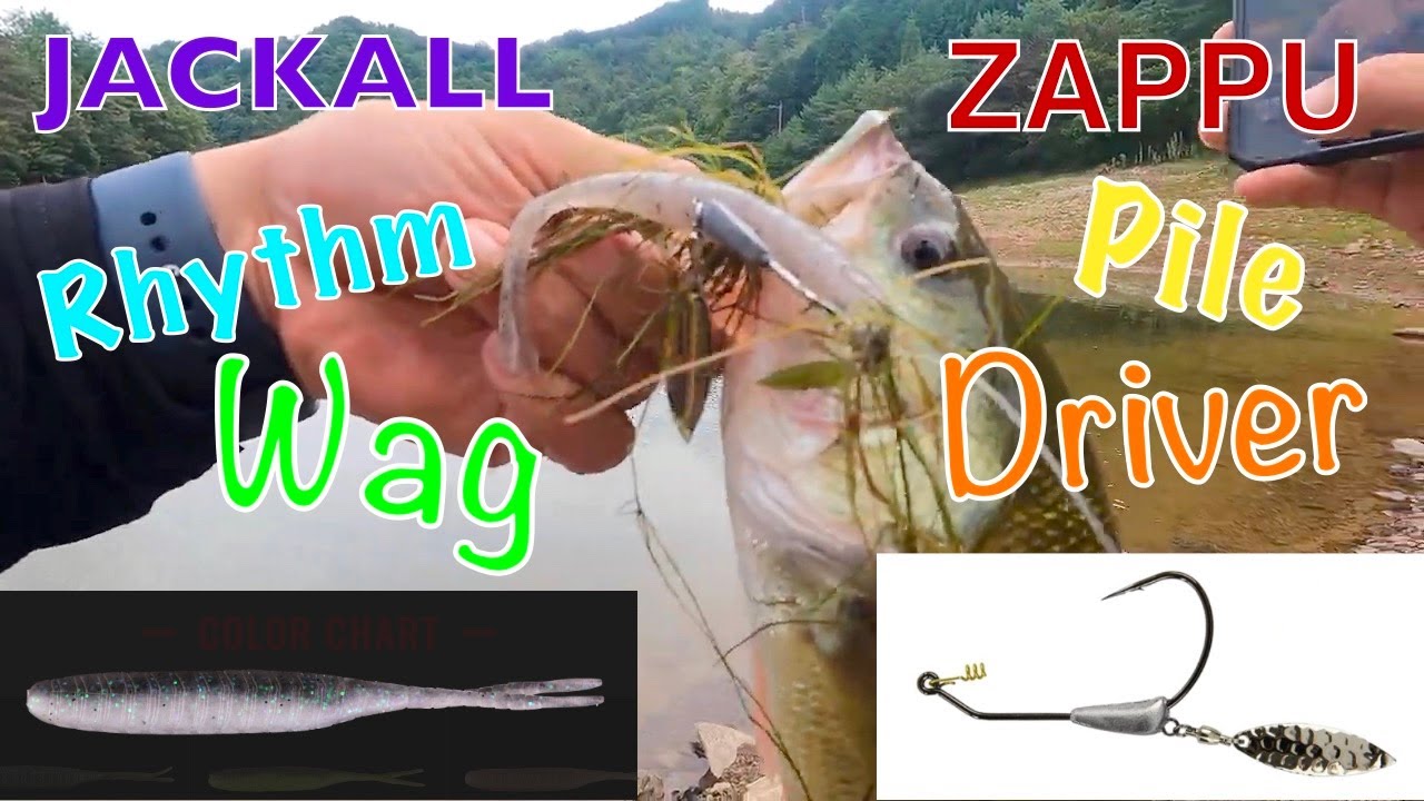 【Bass Fishing】Rhythm wag × Pile Driver【JACKALL】【ZAPPU】【Dam Fishing ...