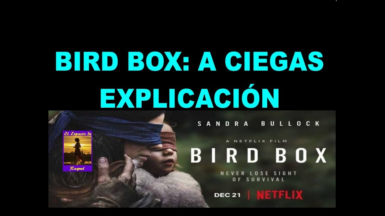 BIRD BOX - A CIEGAS - Película Netflix - EXPLICACIÓN DEL MENSAJE - YouTube